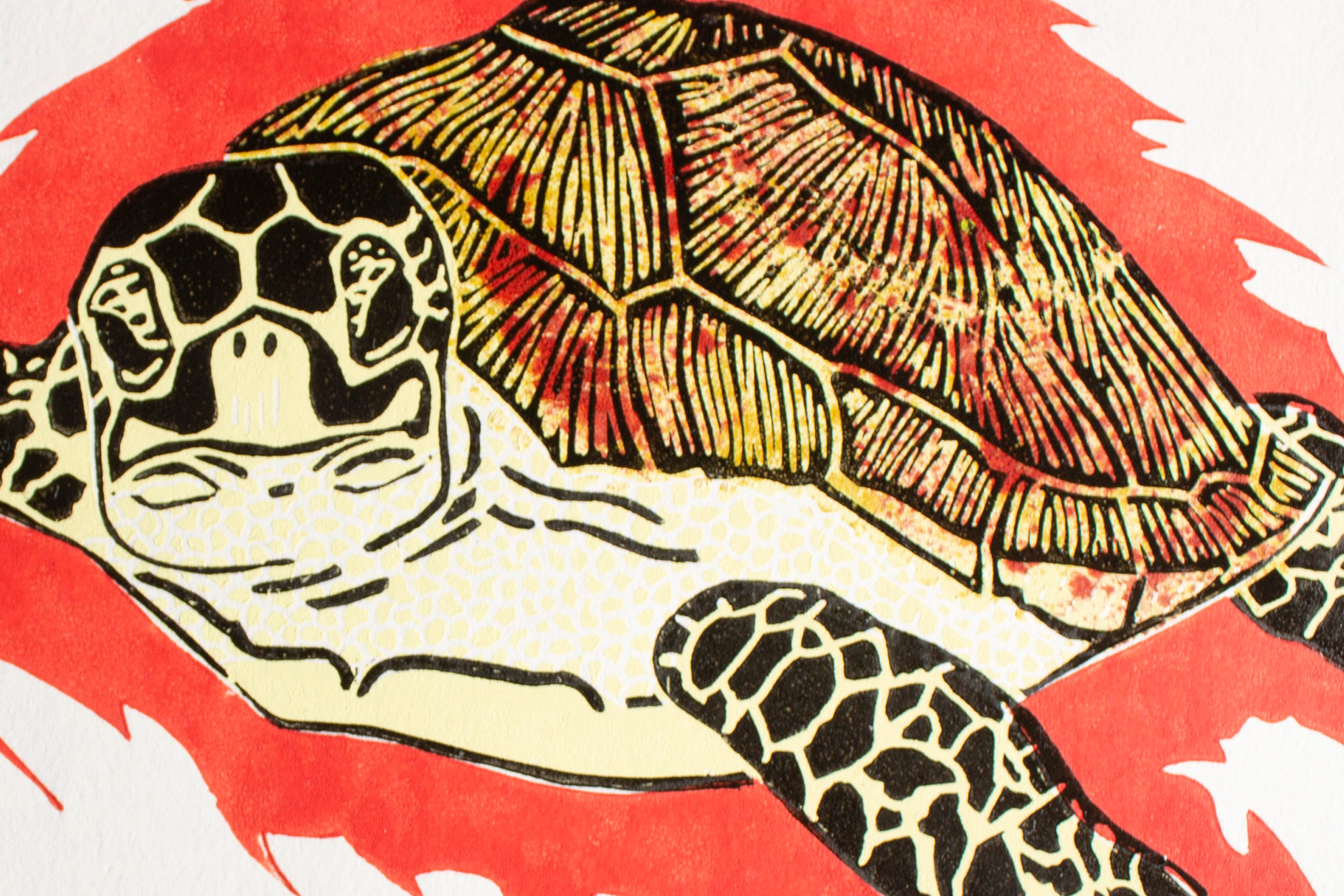 Hawksbill turtle lino print Original print Linocut print | Etsy