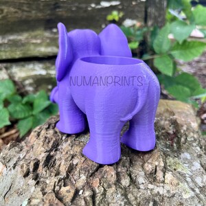 Angry Elephant Planter 3D Printed Tortoise Dick Penis Dickasaurus ...
