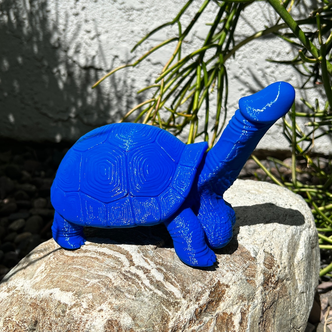 Turtle Dick Tortoise Penis Dickasaurus Rex Bachelorette Party - Etsy