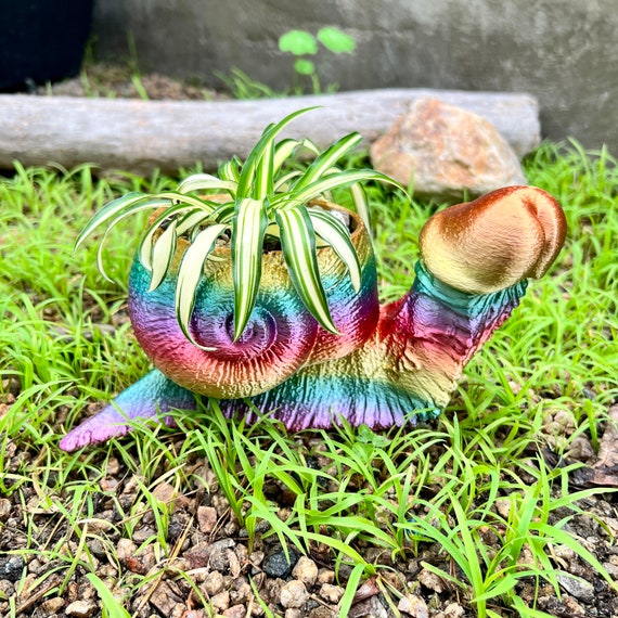 Snail Dick Planter Penis 3D Printed Tortoise Dickasaurus Rex - Etsy ...