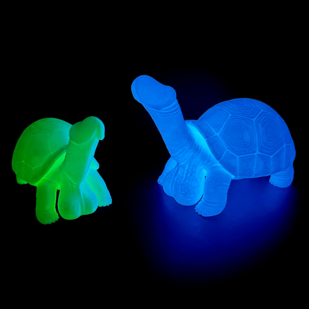 Turtle Dick Glow in the Dark Tortoise Penis Dickasaurus Rex Bachelorette Party Gift Funny Prank ...