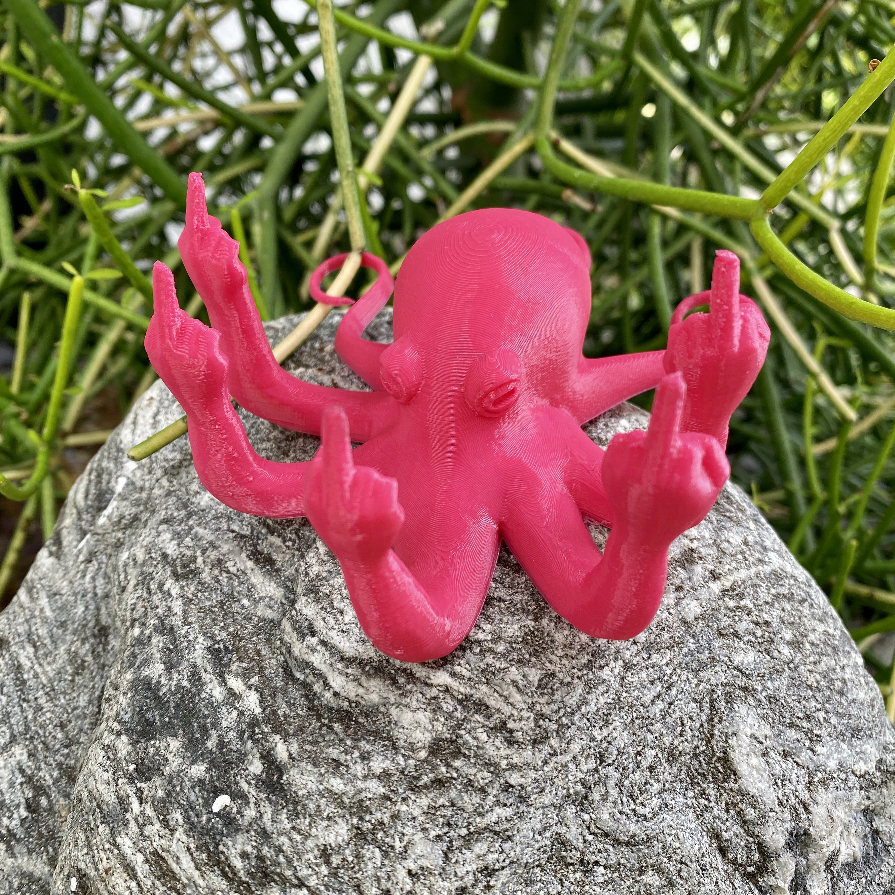 Angry Octopus Fucktopus Middle Finger Dickasaurus Rex Bachelorette ...
