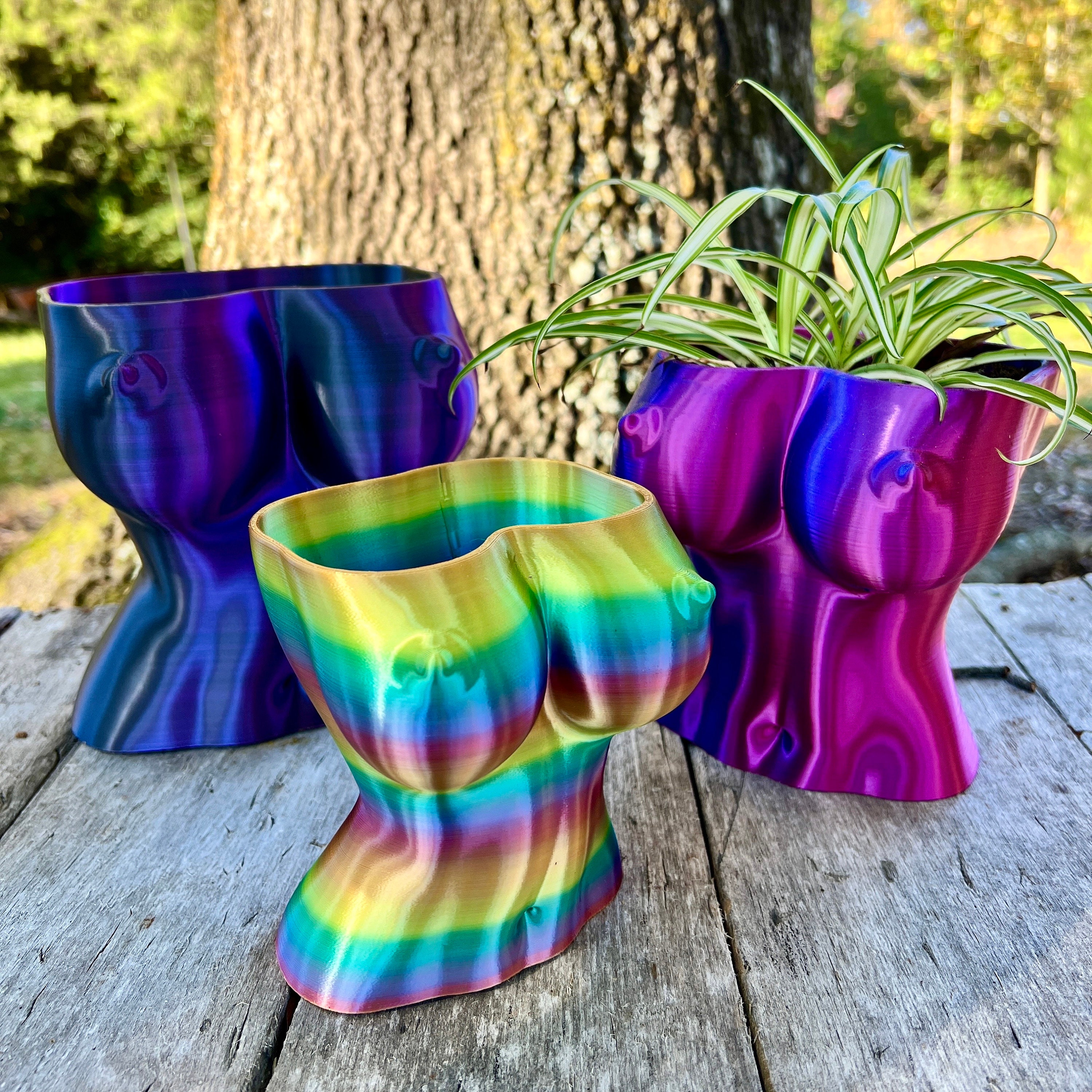 Sexy Bust Planter Boob Breast Boobs Female Dickasaurus Rex Bachelorette ...