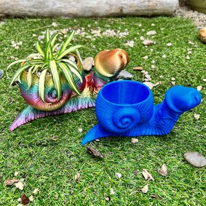 Snail Planter 3D Printed Penis Tortoise Dickasaurus Rex Bachelorette ...