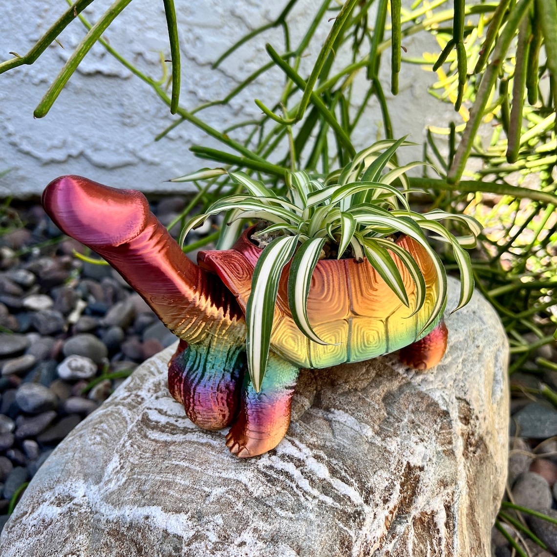 Turtle Dick Planter Tortoise Penis Dickasaurus Rex Bachelorette Party ...