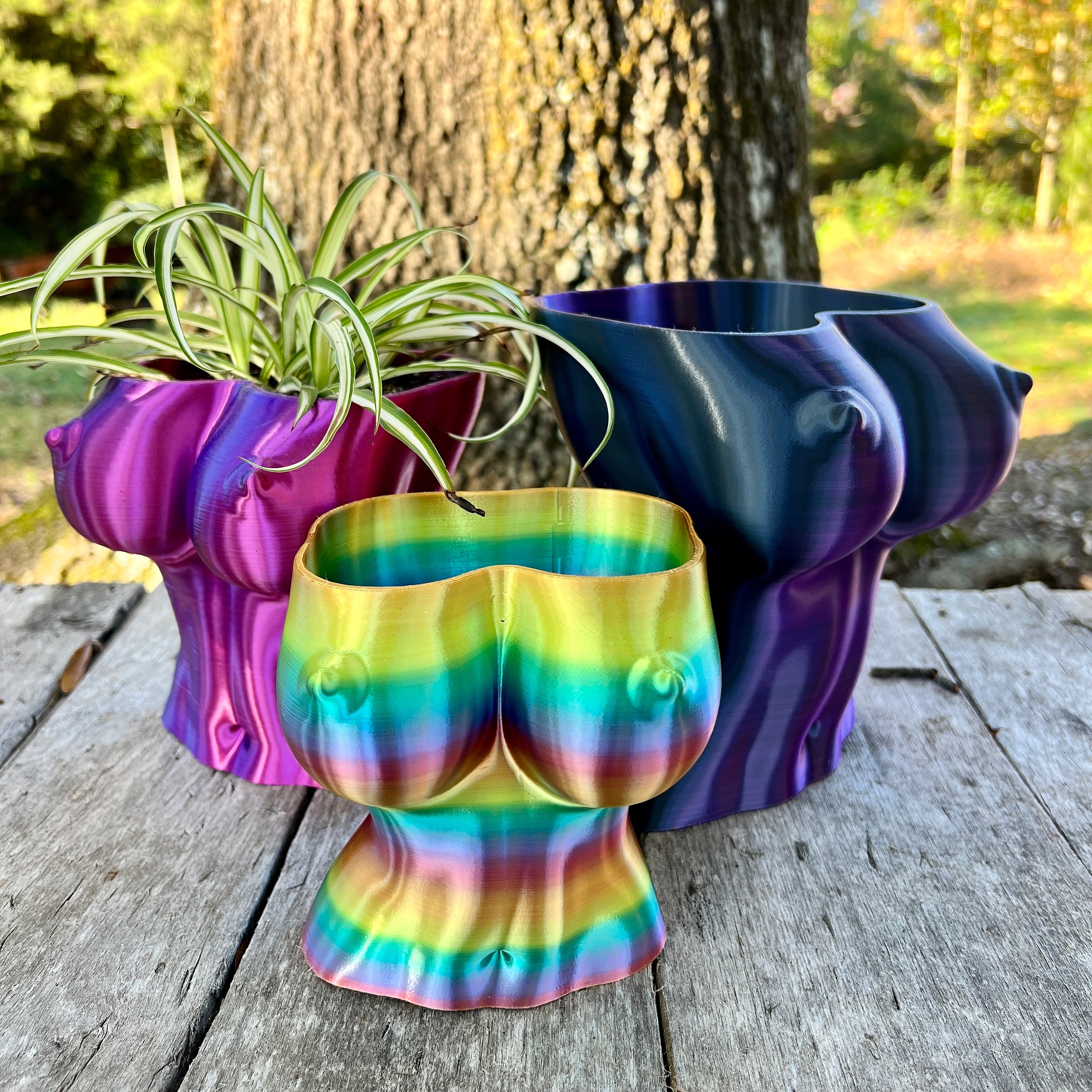 Sexy Bust Planter Boob Breast Boobs Female Dickasaurus Rex Bachelorette ...