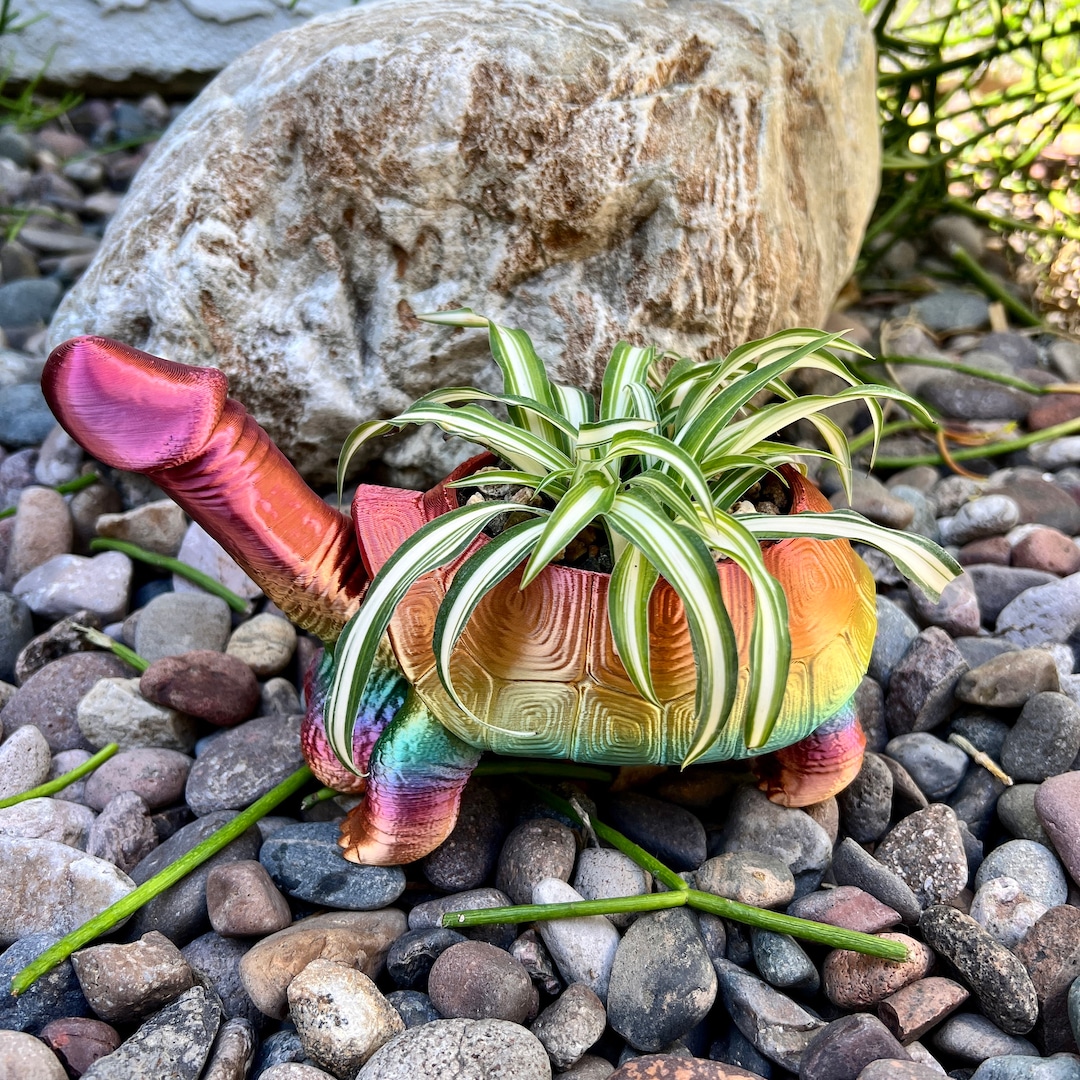 Turtle Dick Planter Tortoise Penis Dickasaurus Rex - Etsy