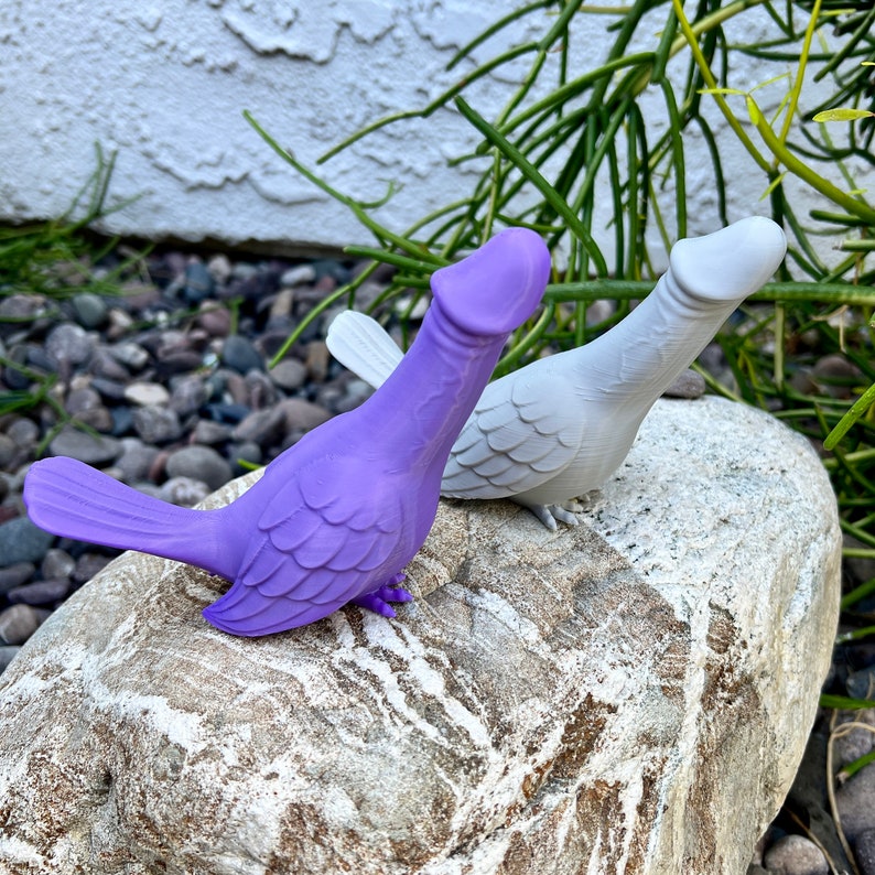 Dick Bird Pigeon Dove Penis Cock Dino-dick Dickasaurus Rex - Etsy