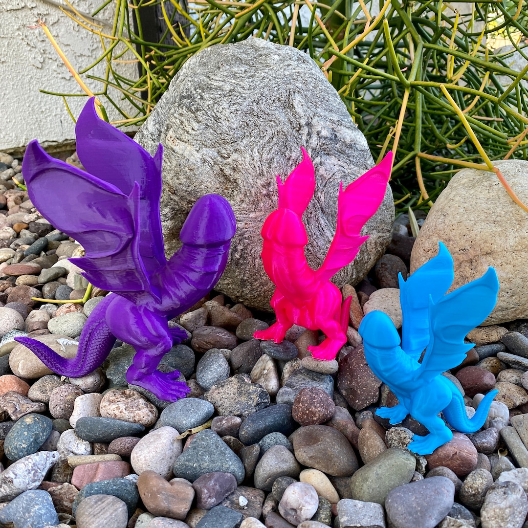 Dino-dick Dickasaurus Rex Bachelorette Party Gift Funny Prank - Etsy