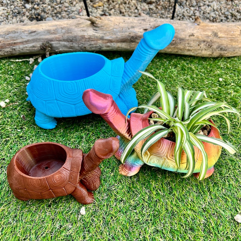 Turtle Dick Planter Tortoise Penis Dickasaurus Rex - Etsy