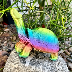Turtle Dick Tortoise Penis Dickasaurus Rex Bachelorette Party Gift ...