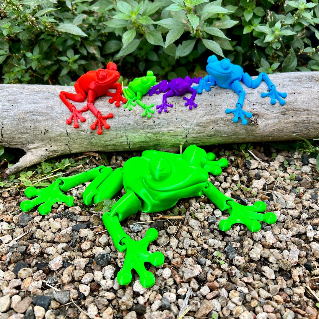 Happy Frog 3D Printed Articulated Moveable Toy Decorative Novelty Gift ...