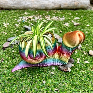 Snail Dick Planter Penis 3D Printed Tortoise Dickasaurus Rex - Etsy