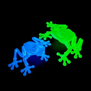 Flexi Frog 3D Printed Glow in the Dark Articulated Moveable Toy ...