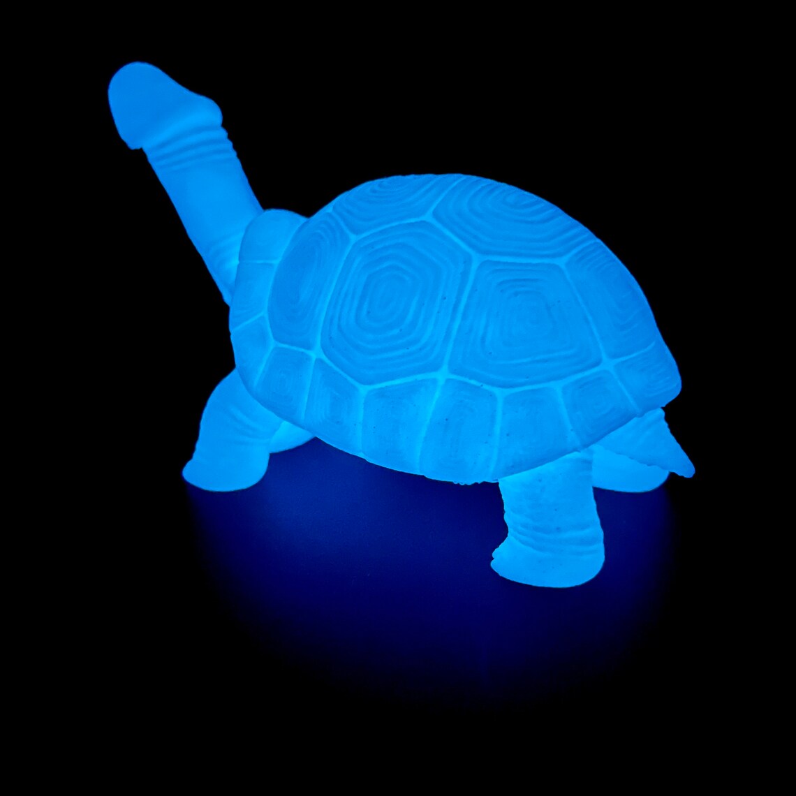 Turtle Dick Tortoise Penis Dickasaurus Rex Bachelorette Party - Etsy