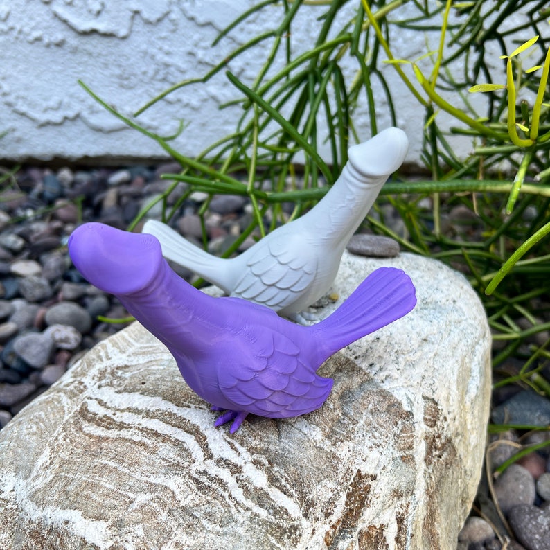 Dick Bird Pigeon Dove Penis Cock Dino-dick Dickasaurus Rex - Etsy