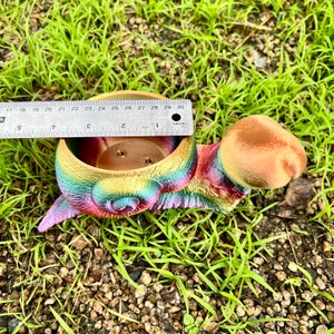 Snail Planter 3D Printed Penis Tortoise Dickasaurus Rex Bachelorette ...