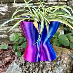Sexy Bust Planter Boob Breast Boobs Female Dickasaurus Rex Bachelorette ...
