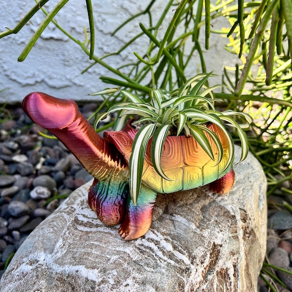 Turtle Dick Planter 3D Printed Tortoise Penis Dickasaurus Rex - Etsy Canada