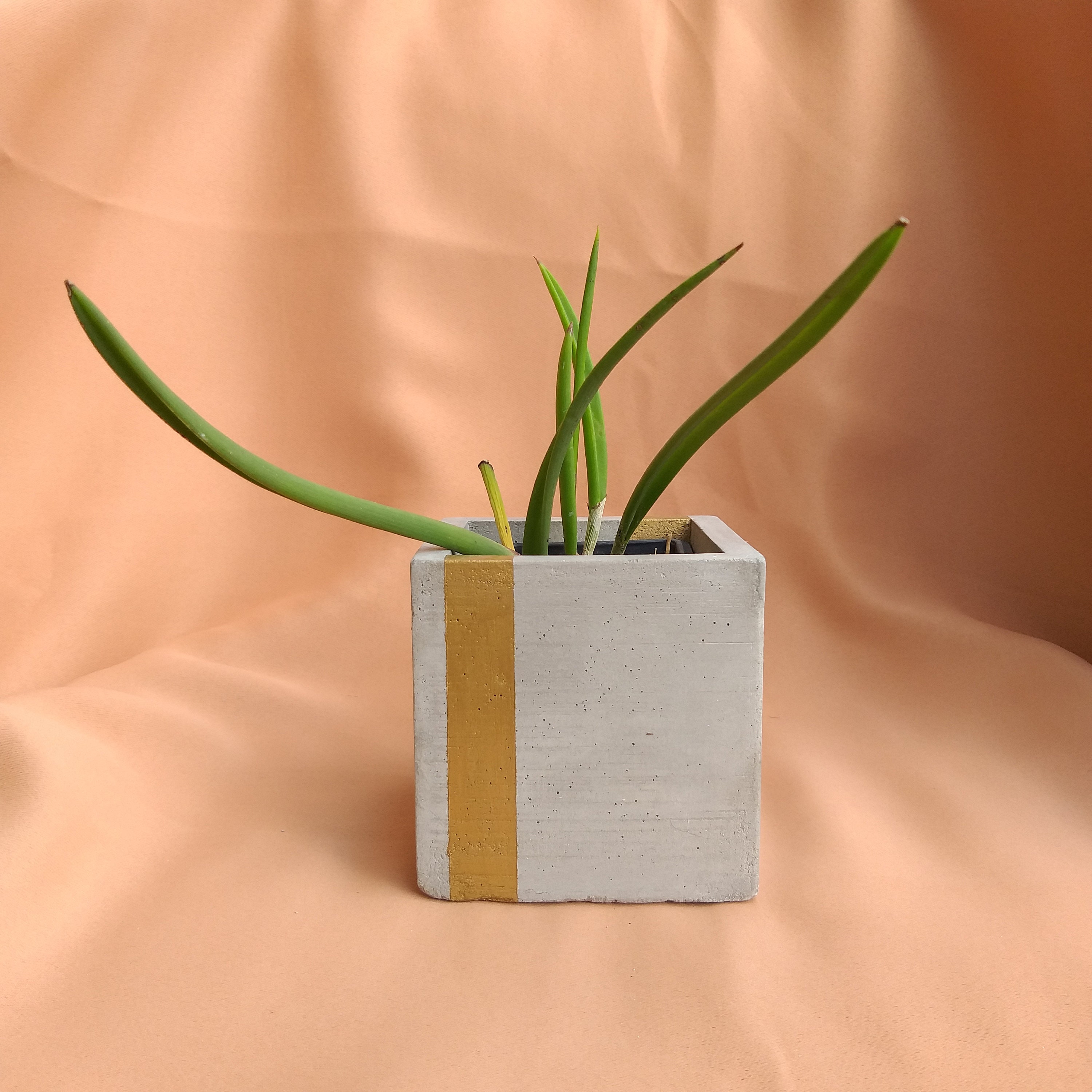 Square Concrete Succulent Planters