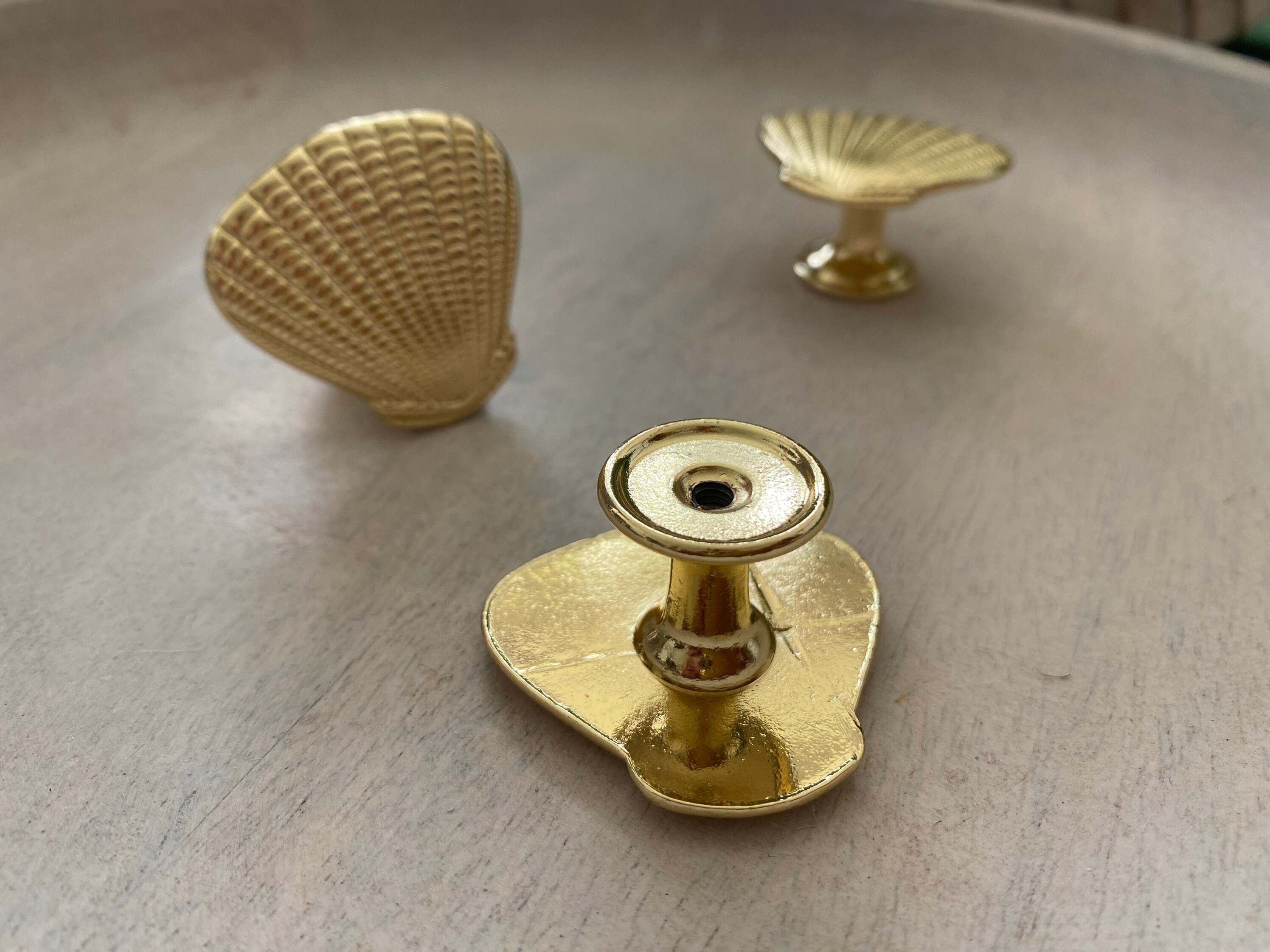 Gold Shell Cabinet Knob Kitchen Cabinet Hardware Door Knob - Etsy