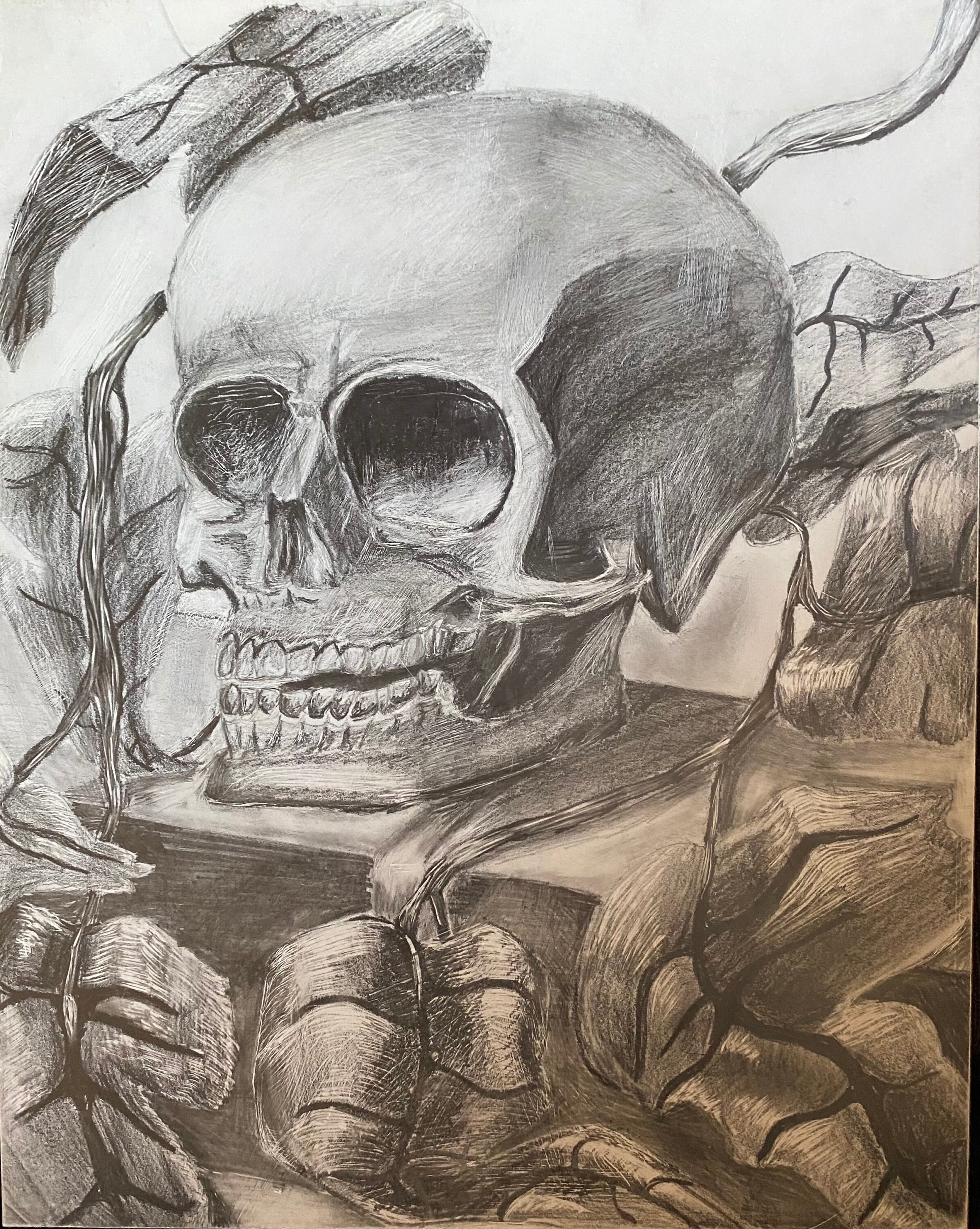 Dark Academia Skull Drawing, Scratch Board - Etsy New Zealand