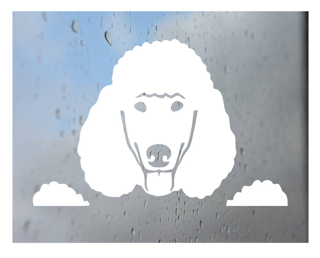 Peeking Poodle Vinyl Sticker Decal for Car, Truck, Window, Bumper Decal ...