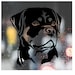 Got Drool? Decal, Paw Print Decal Big Dogs Drool Laptop Decal Dog Decal ...