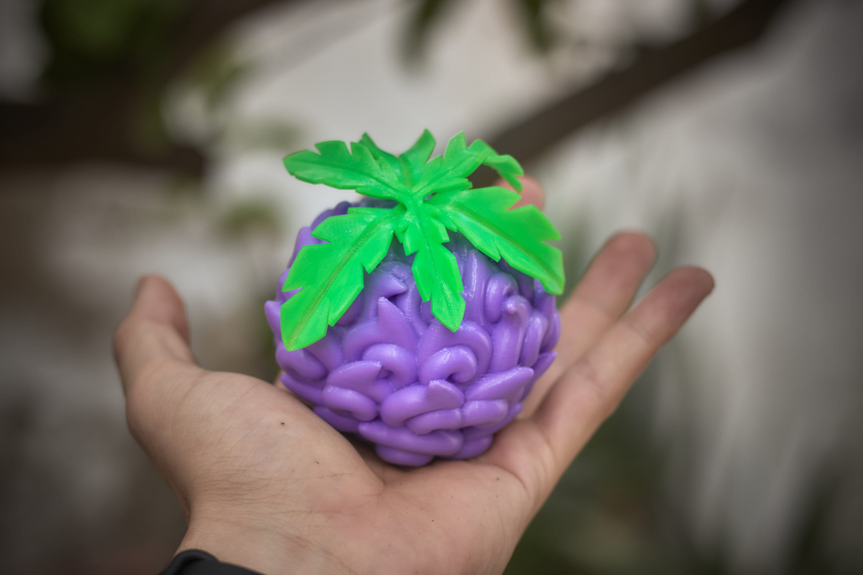 One Piece Anime Devil Fruit Yami Yami No Mi Blackbeard Devil | Etsy Canada