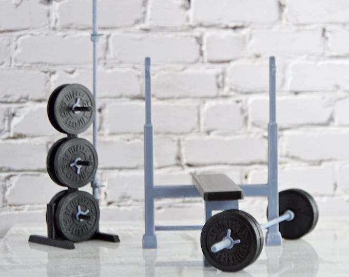 1 12 Scale Weights, Mini Dumbbells Set, Mini Weights, 1 12 Scale ...