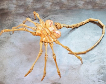 Life Size 1:1 Scale Alien Facehugger Prop Replica - Etsy
