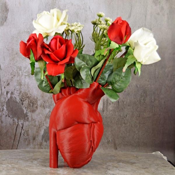 Anatomical Heart Vase - Etsy