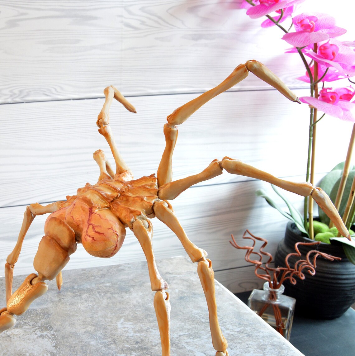 Life Size Alien Face Hugger Replica Articulated Alien Face | Etsy