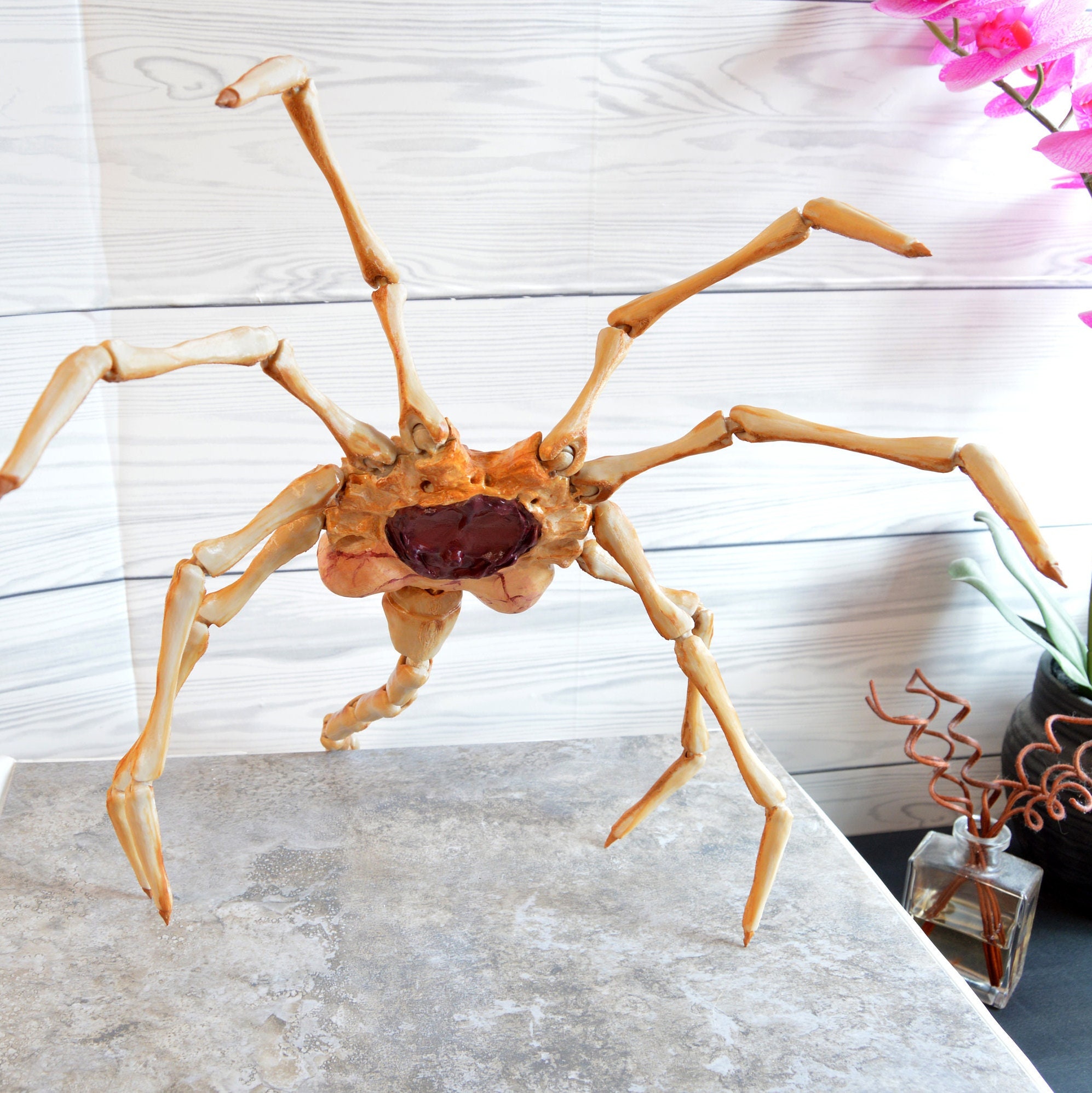 Giant Sea Spider Facehugger