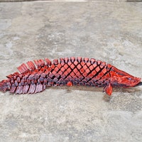 3D Printed Pirarucu Fidget Toy, Fish Fidget Toy, 3D Printed Fish, 3D ...