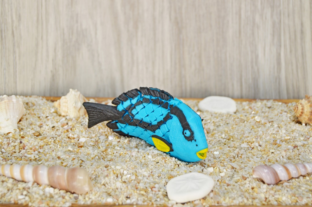 Blue Tang, 3D Printed Fish, Tropical Fish Decor, Under the Sea Party ...