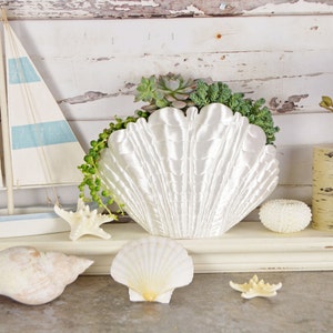 Set of 3 Shell Vases, Seashell Vase, Beach Theme Kitchen, Ocean Theme ...