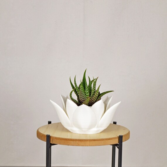 Lotus Succulent Pots Small Lotus Flower Planter Succulent - Etsy