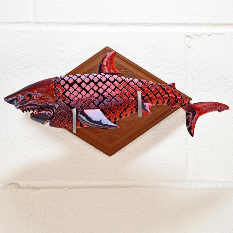 Shark Trophy - Etsy