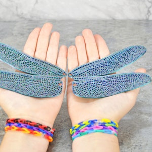 Dragonfly Shoe Wing, Wings for Shoes, Shoelace Wings, Dragonfly ...