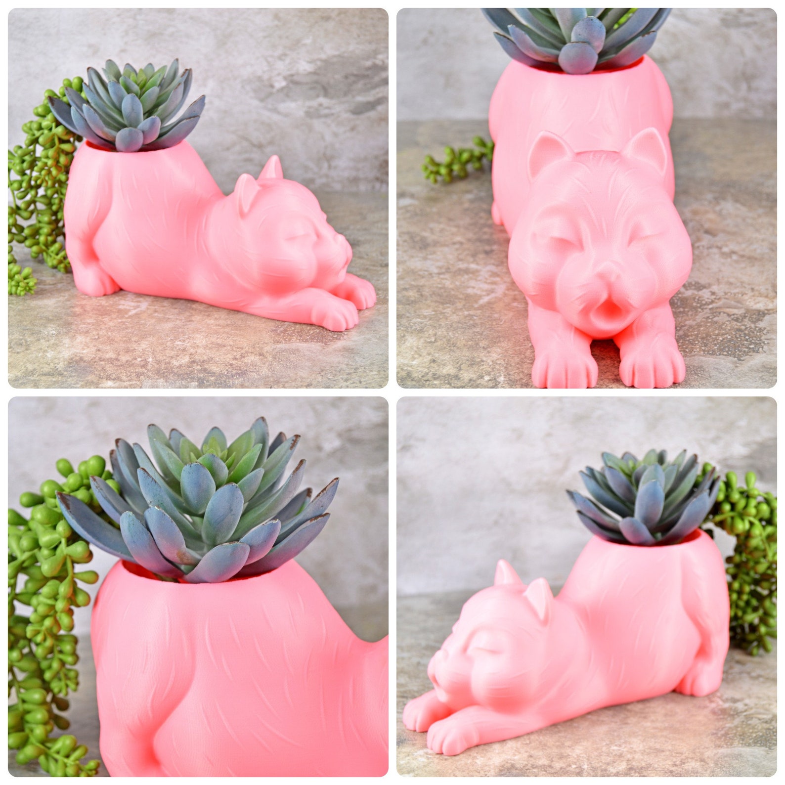 Cute Cat Planter Indoor Cat Pot for Plants Cat Succulent - Etsy