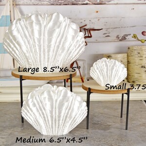 Set of 3 Shell Vases, Seashell Vase, Beach Theme Kitchen, Ocean Theme ...