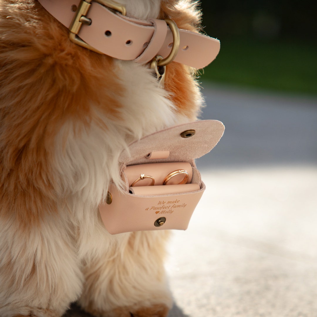 Ring Box Holder for Pet, Wedding Proposal Ring Box for Dog, Marriage ...