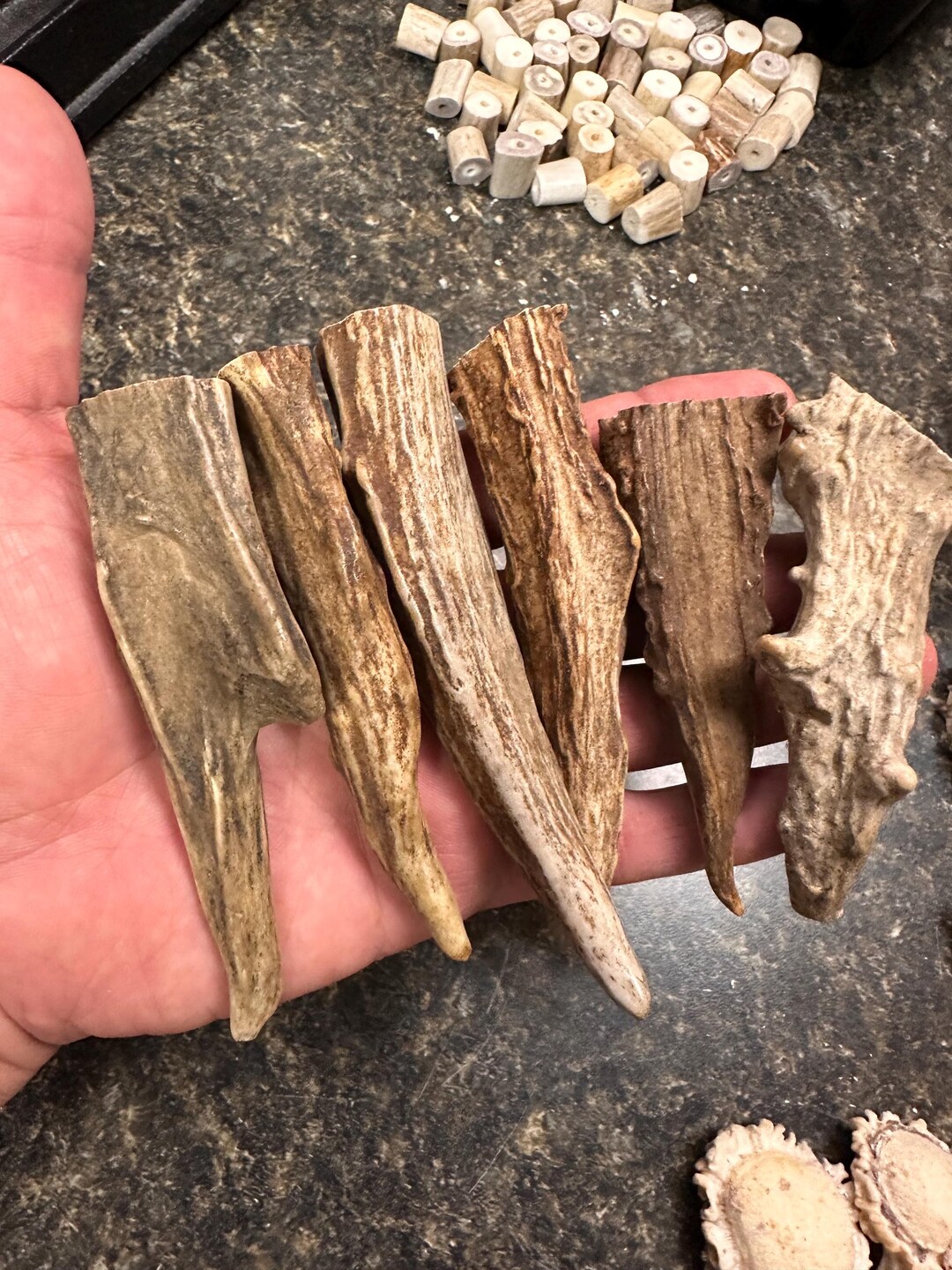 Gnarly Antler Tines / Large Shed Deer Antler Tips / - Etsy