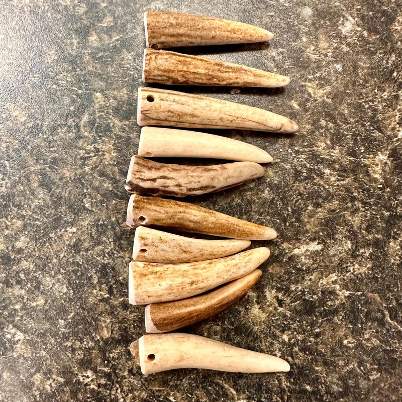 Antler Tip - Etsy
