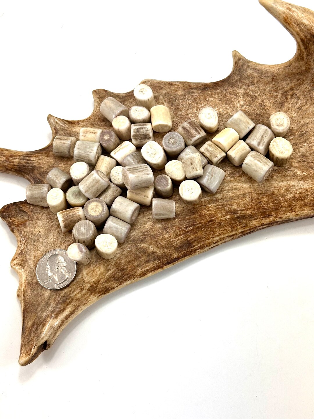 50 Deer Antler Bead Blanks/ Shed Deer Antler/ Tumble Polished Bead ...