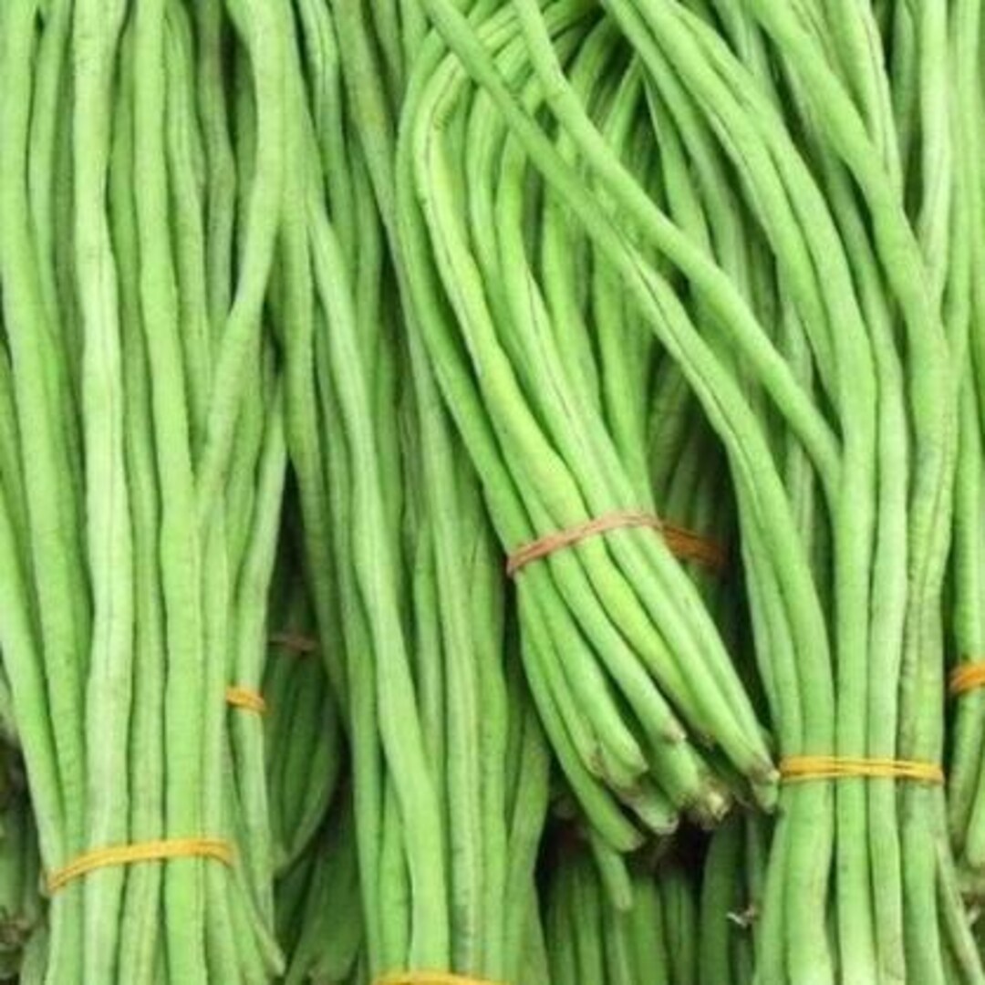 Yard Long Beans - Packet of 10 Seeds - Etsy