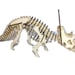 Dino Styracosaurus Dinosaur Skeleton Wooden Puzzle Playroom - Etsy