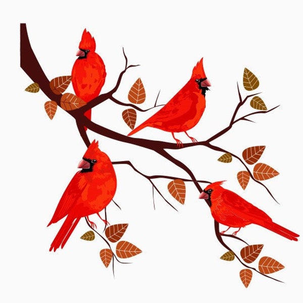 Cardinal Bird - Etsy