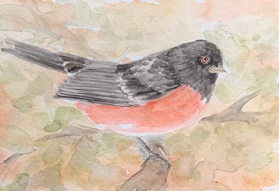 Female Rufus Sided Towhee original watercolor of birds | Etsy